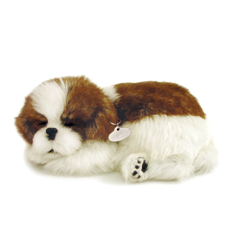 Homepage - Perfect Petzzz