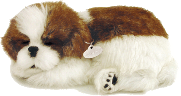 Original Shih Tzu Perfect Petzzz - Perfect Petzzz