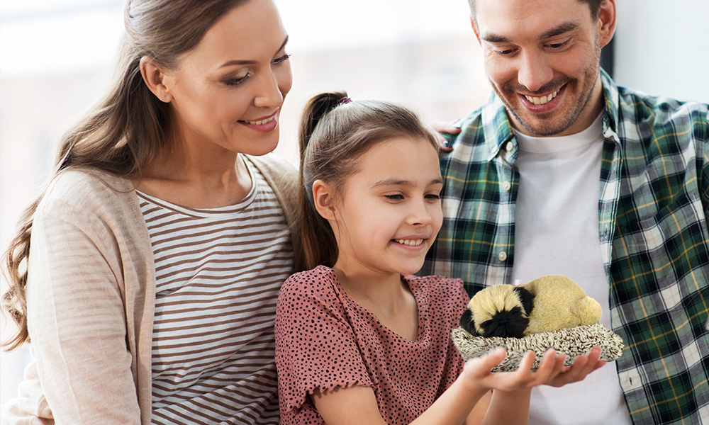 7 Best Pets For Kids (And Its Pros and Cons) - Perfect Petzzz