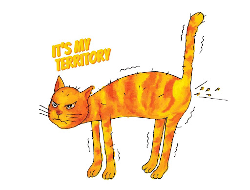 Feline Language: Mastering the Art of Cat Marking Territory - Perfect ...